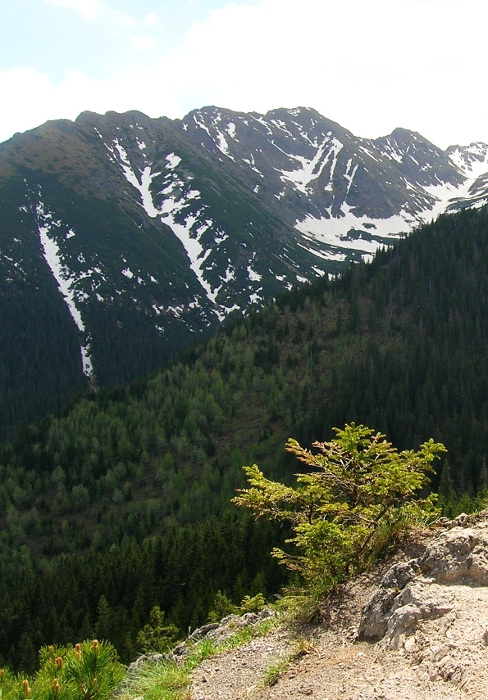 Tatry i Podhale - BezMapy.pl